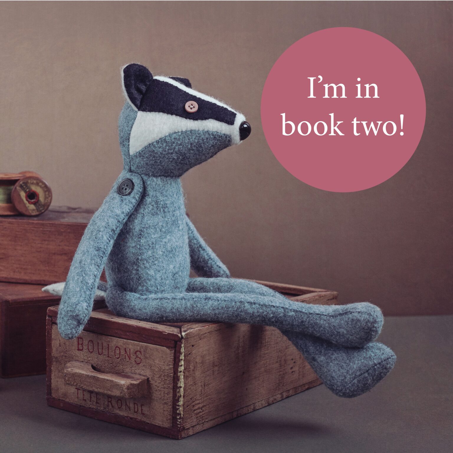 Luna Lapin: Making New Friends: Sarah Peel's Book 3 - CoolCrafting