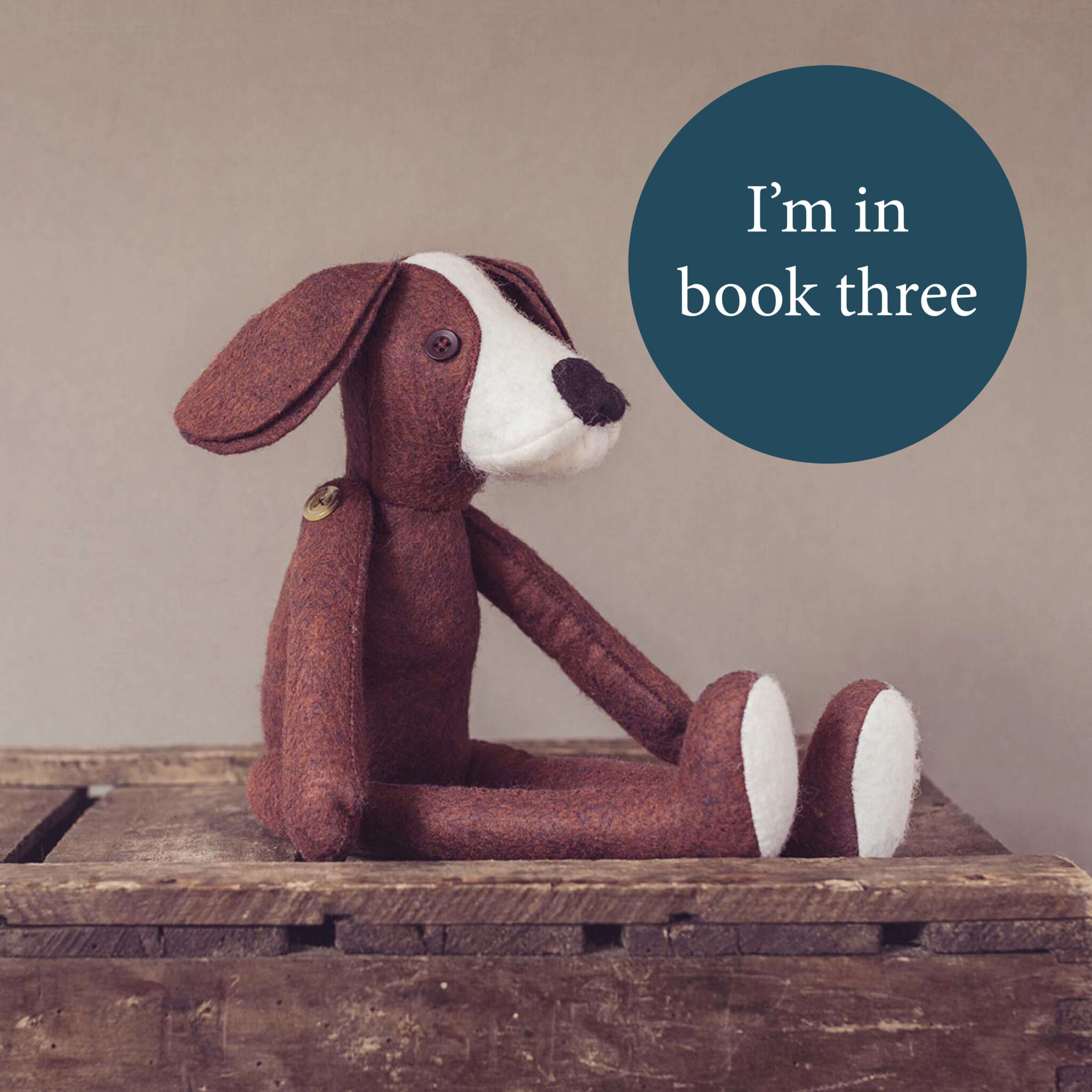 Luna Lapin: Making New Friends: Sarah Peel's Book 3 - CoolCrafting
