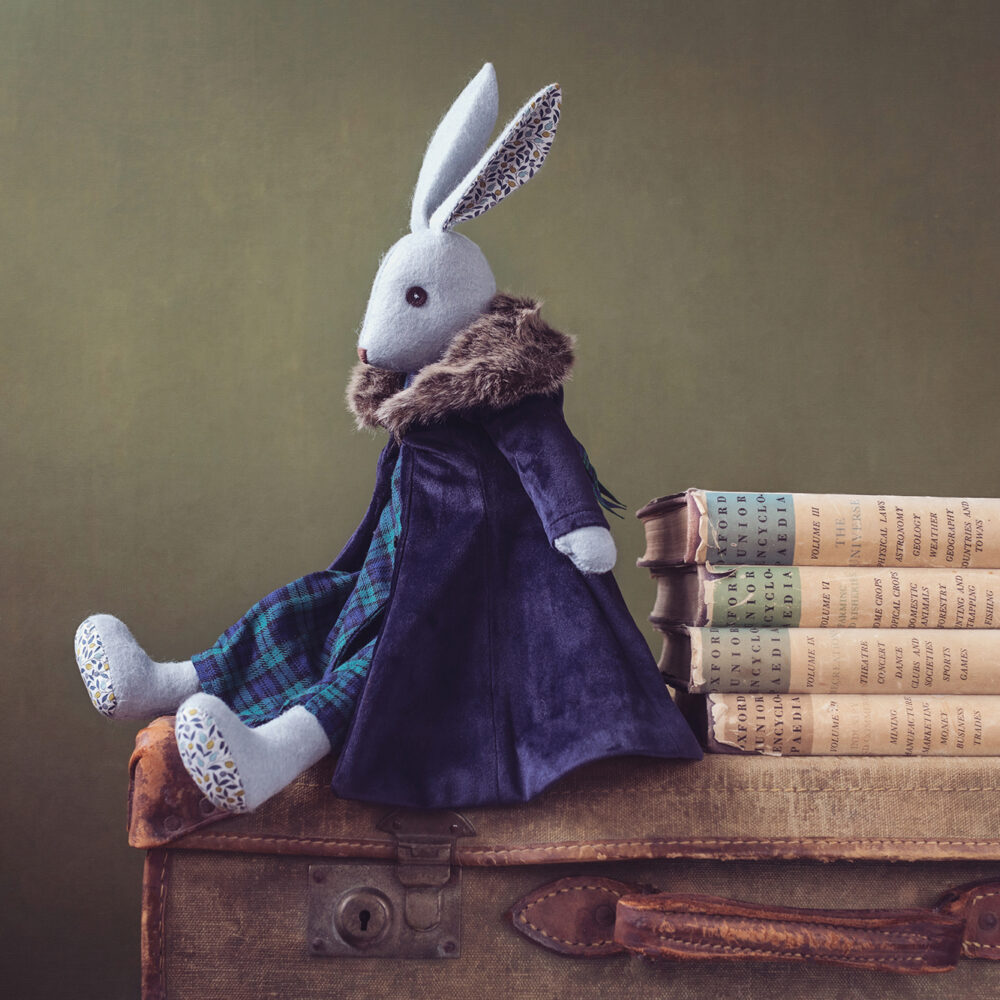 Luna Lapins Creative Year - CoolCrafting