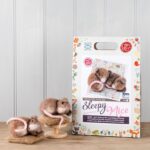 Bramble Bear - a bigger bear - CoolCrafting