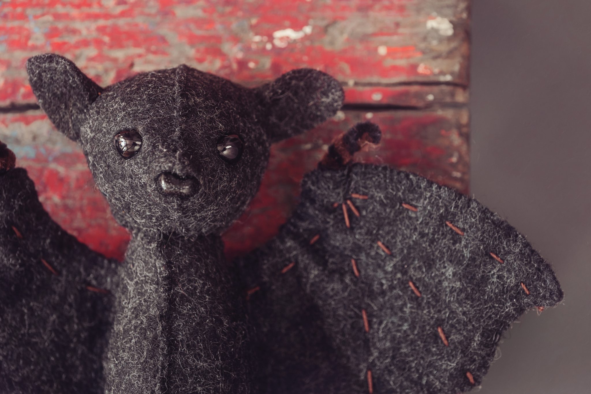 Making delicious Damson Vodka